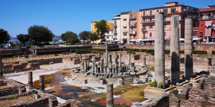 Il Macellum- Tempio di Serapide: la storia, la scienza, la scuola